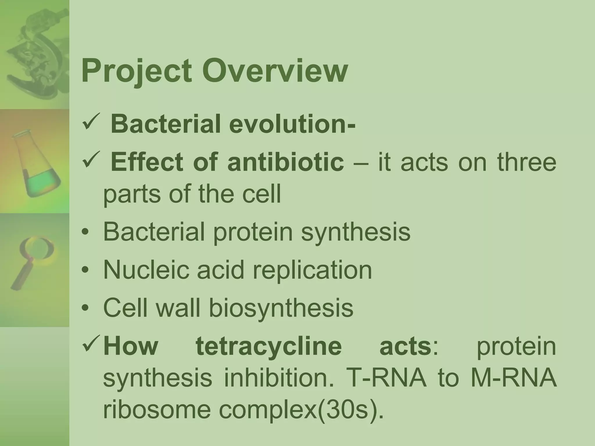 Evolution in bacteria by the use of antibiotic | PPT