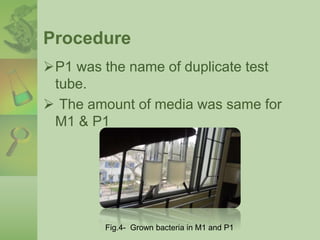 Evolution in bacteria by the use of antibiotic | PPT