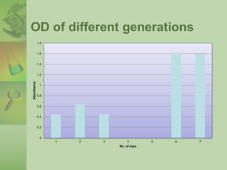 Evolution in bacteria by the use of antibiotic | PPT