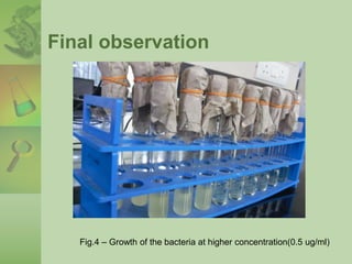 Evolution in bacteria by the use of antibiotic | PPT