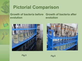 Evolution in bacteria by the use of antibiotic | PPT