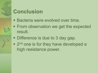 Evolution in bacteria by the use of antibiotic | PPT