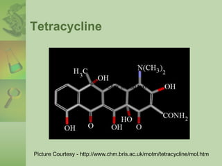 Evolution in bacteria by the use of antibiotic | PPT
