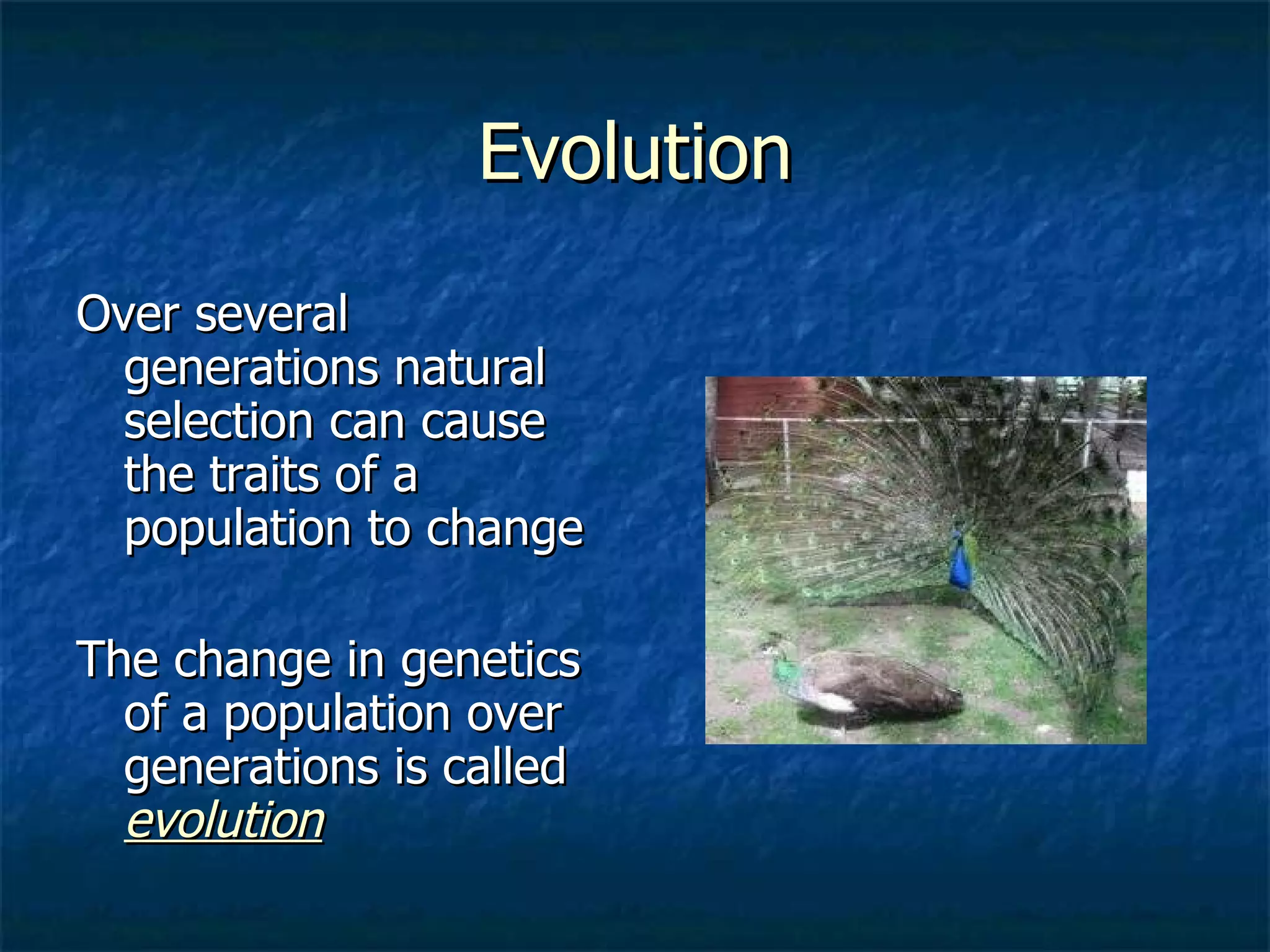 Evolution in ecosystems | PPT