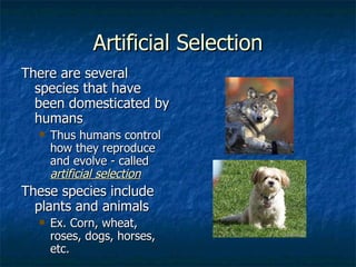 Evolution in ecosystems | PPT
