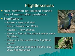 Evolution In Nz | PPT