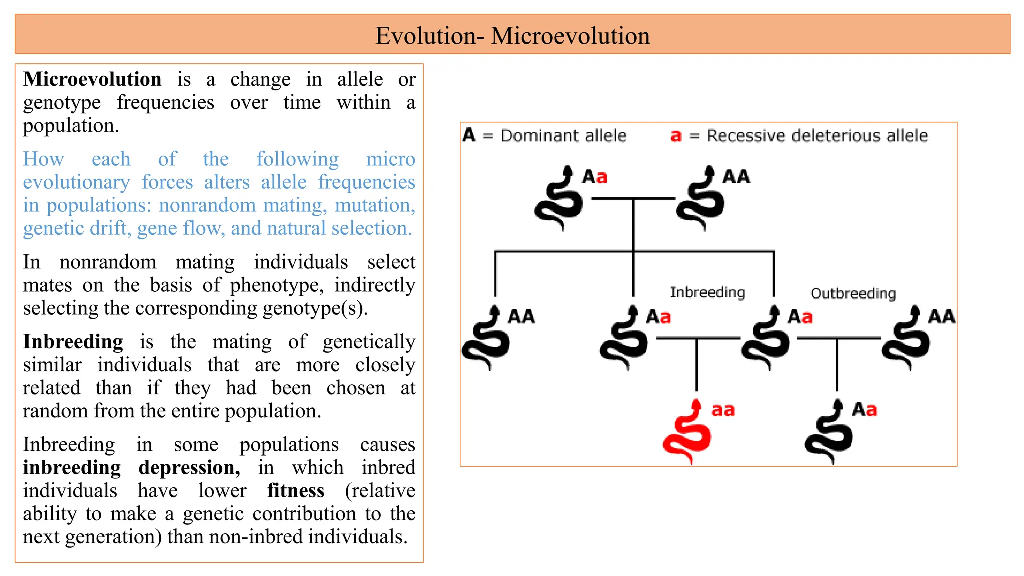 Evolution (Lecture 1) a concept in biology.pptx