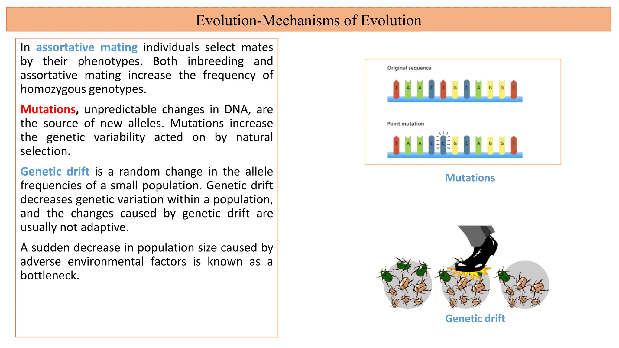 Evolution (Lecture 1) a concept in biology.pptx