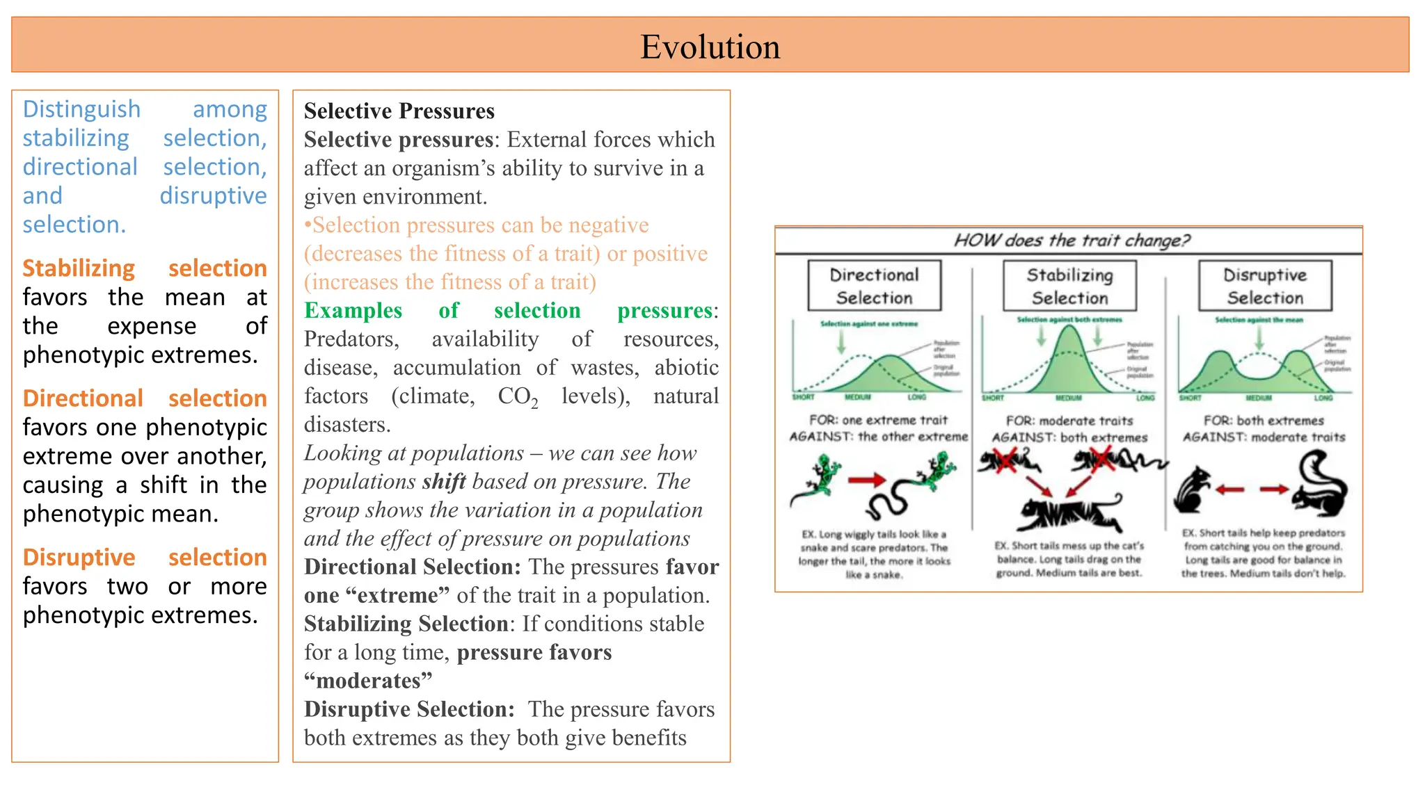 Evolution (Lecture 1) a concept in biology.pptx