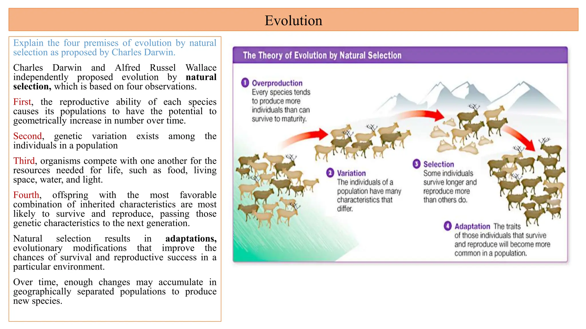 Evolution (Lecture 1) a concept in biology.pptx