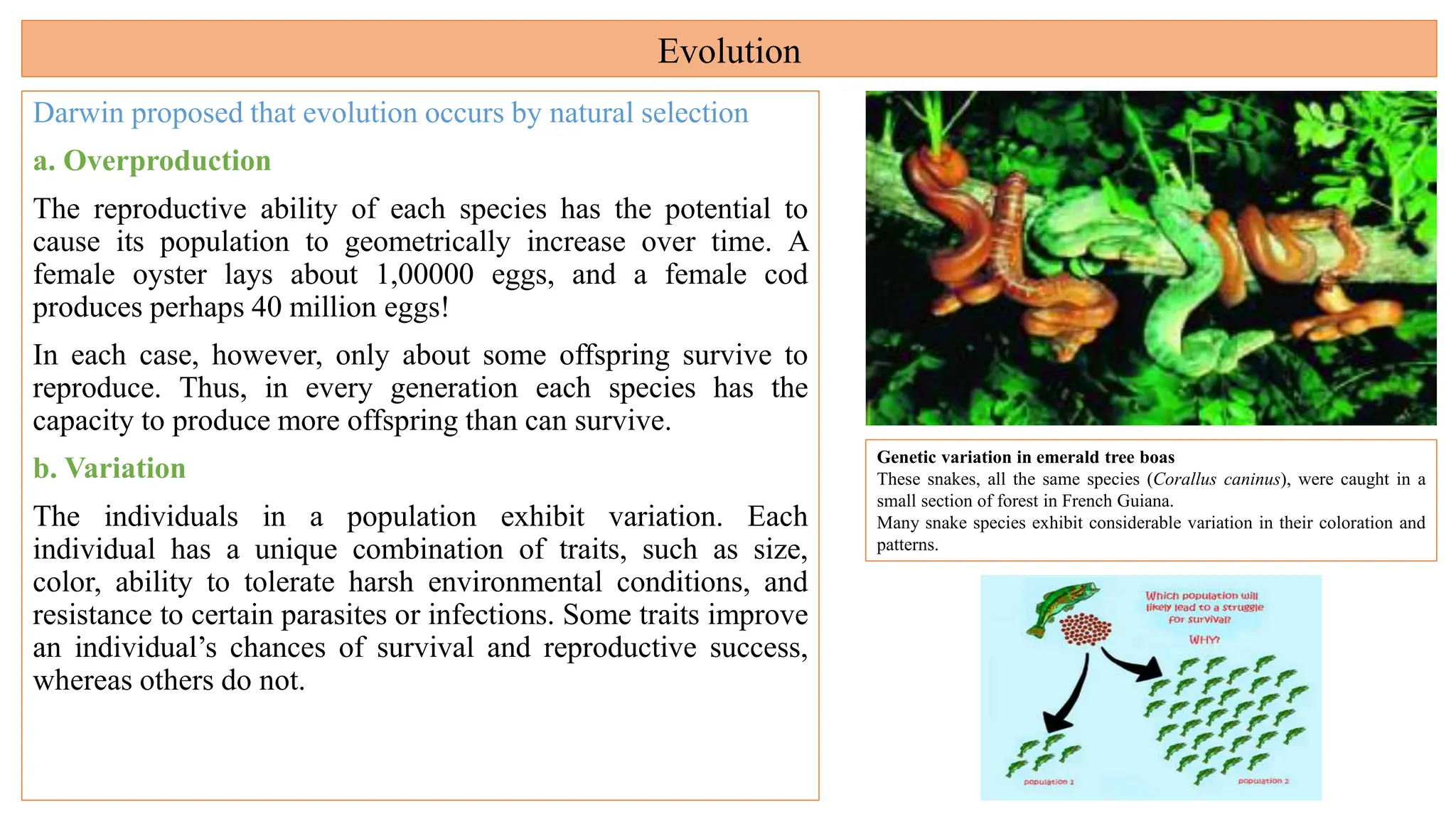 Evolution (Lecture 1) a concept in biology.pptx