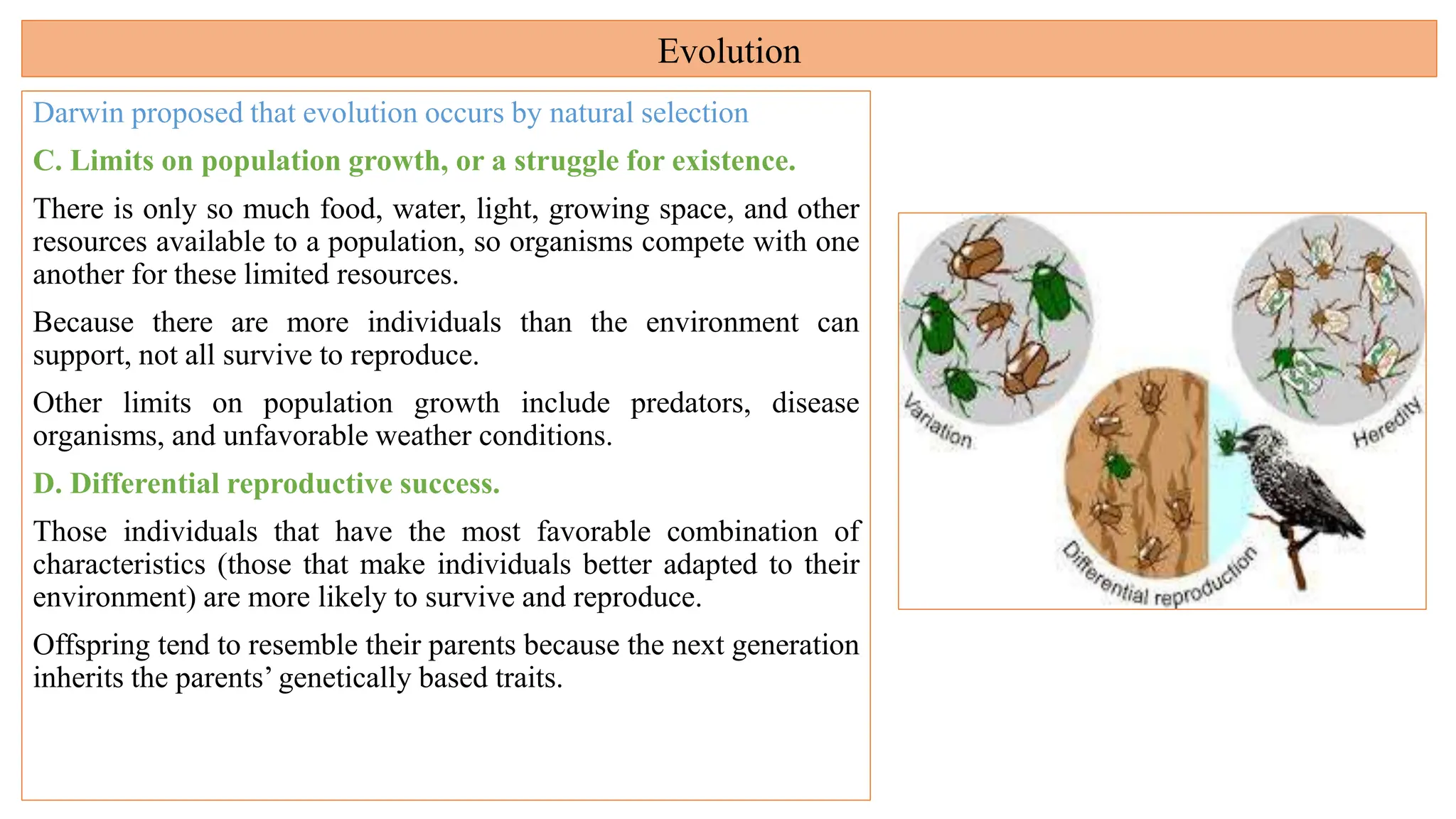 Evolution (Lecture 1) a concept in biology.pptx