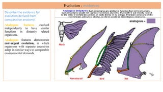 Evolution (Lecture 1) a concept in biology.pptx | Geology | Science