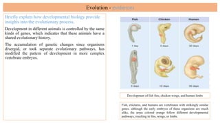 Evolution (Lecture 1) a concept in biology.pptx | Geology | Science