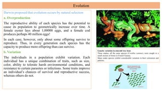 Evolution (Lecture 1) a concept in biology.pptx | Geology | Science