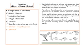 Evolution (Lecture 2) a concept in biology.pptx