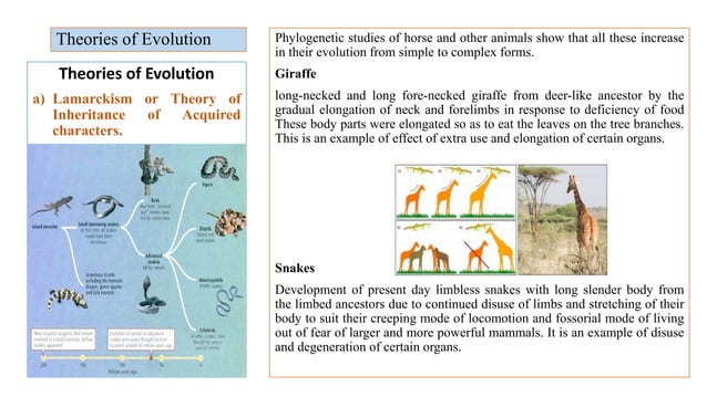 Evolution (Lecture 2) a concept in biology.pptx