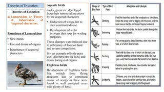 Evolution (Lecture 2) a concept in biology.pptx