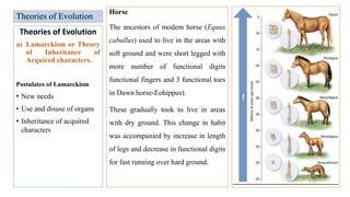 Evolution (Lecture 2) a concept in biology.pptx