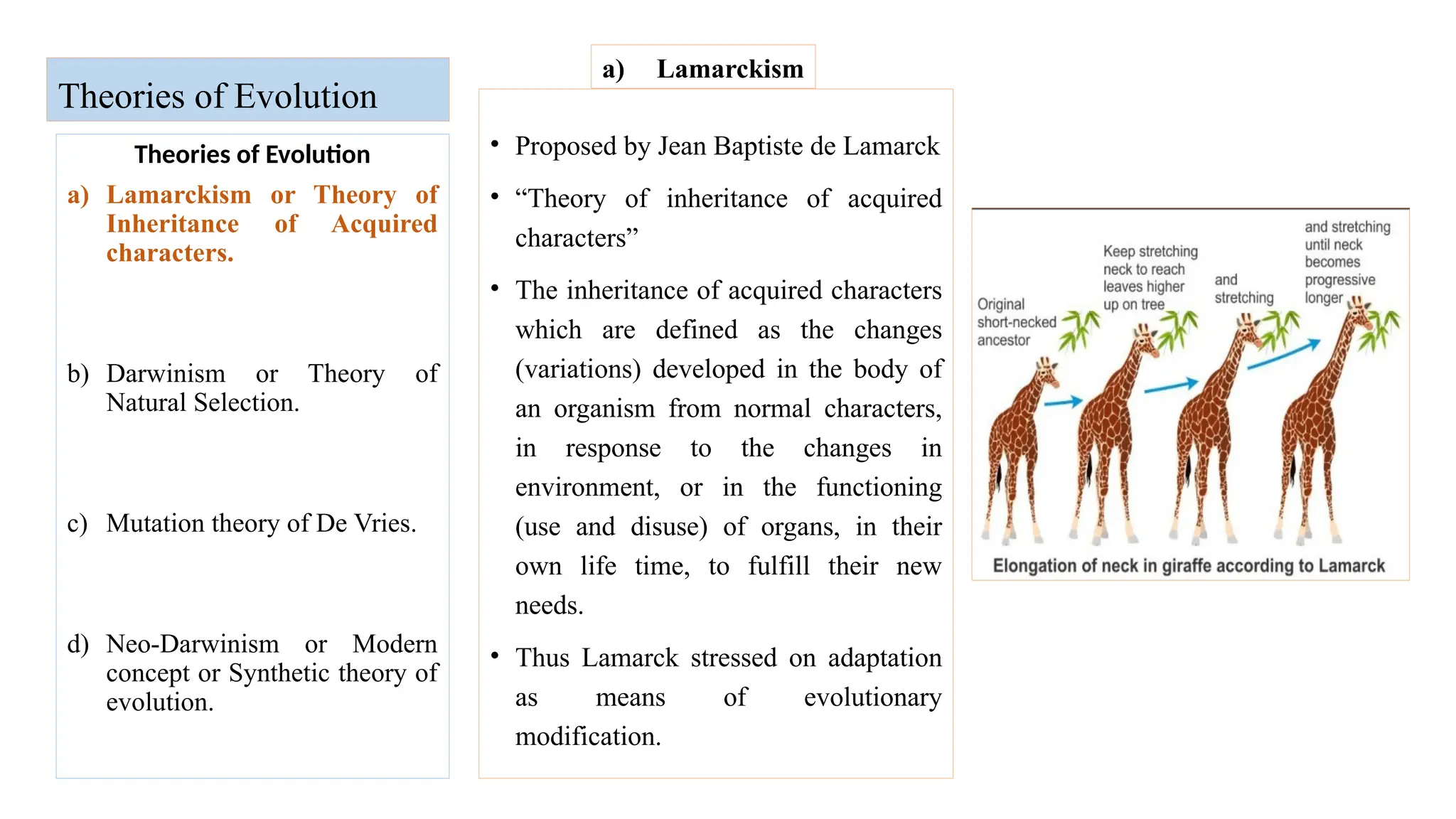 Evolution (Lecture 2 . fariha.pptx ppt.. | PPTX