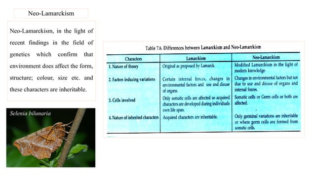 Evolution (Lecture 2 . fariha.pptx ppt.. | PPTX