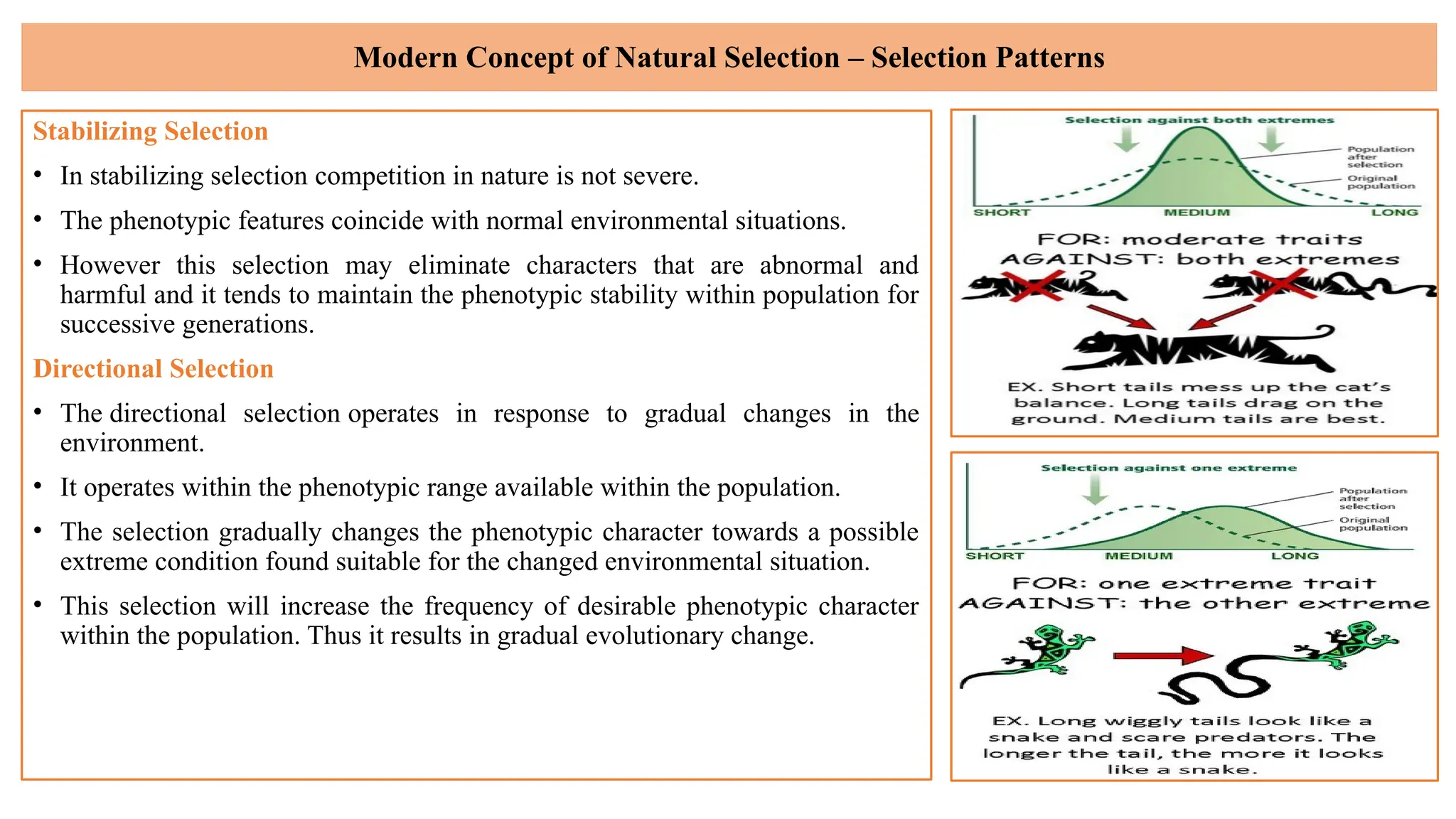 Evolution (Lecture 4).pptx natural selection | PPT