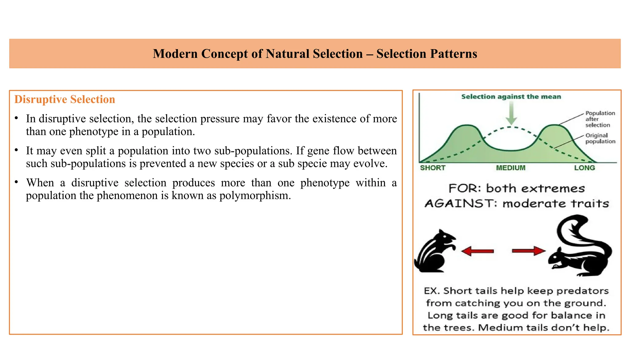 Evolution (Lecture 4).pptx natural selection | PPT