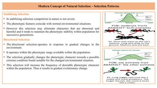 Evolution (Lecture 4).pptx natural selection | PPT