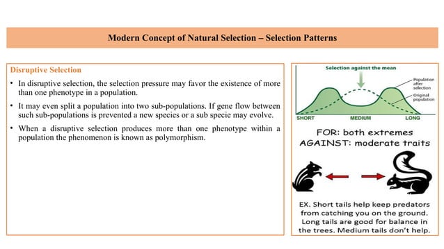 Evolution (Lecture 4).pptx natural selection | PPT