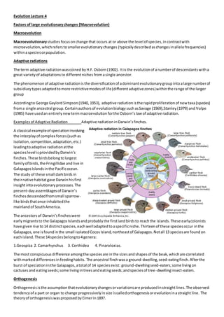 Evolution lecture 4 & 5 | DOCX | Genetics | Science