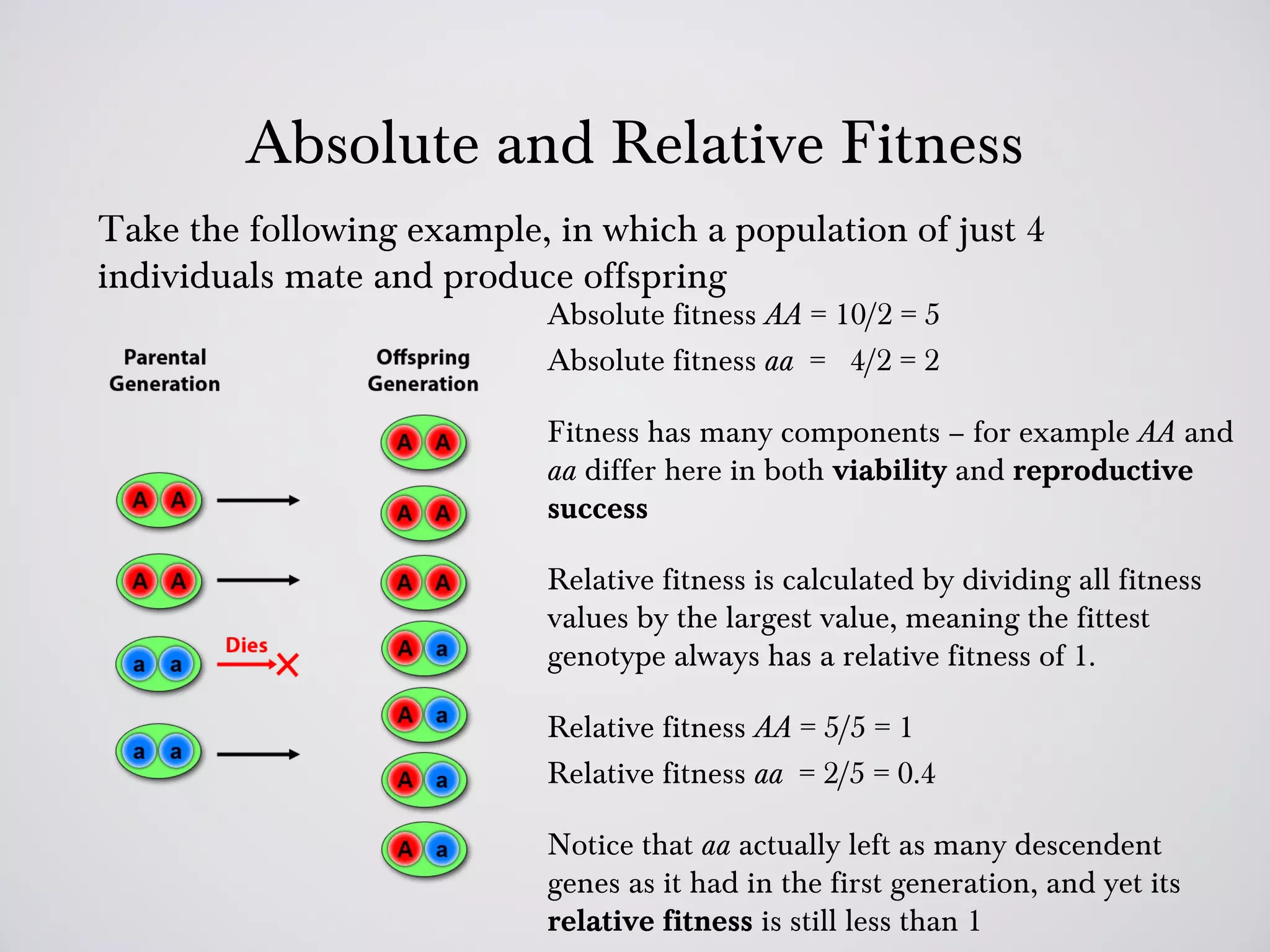 Evolution lectures 7&8 | PPT