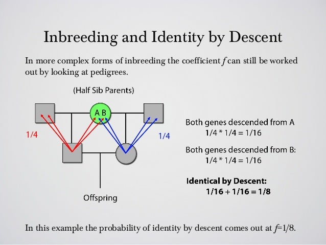 Evolution Lectures 9&10