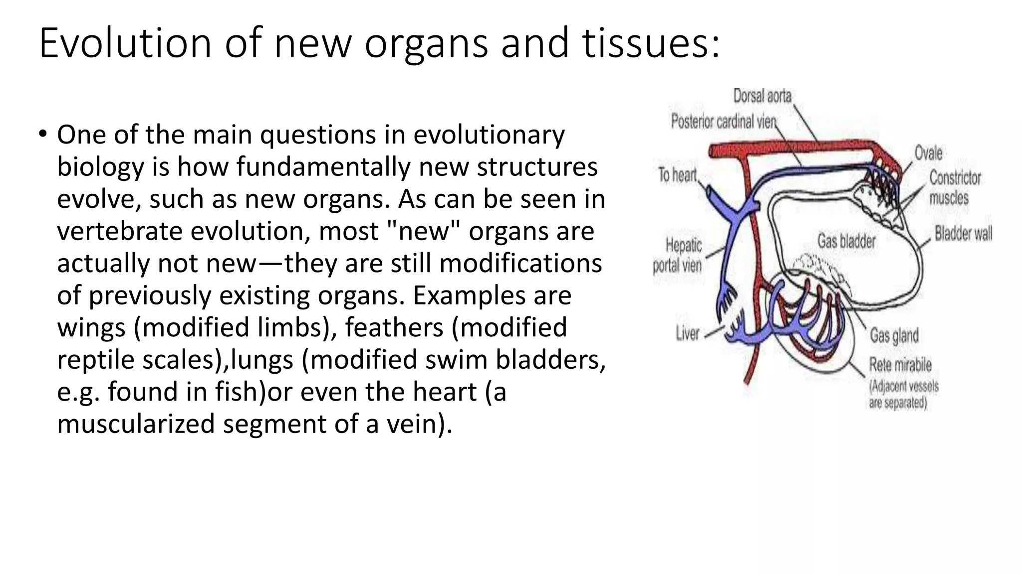 Evolution ( Macro and Micro Evolution).pptx