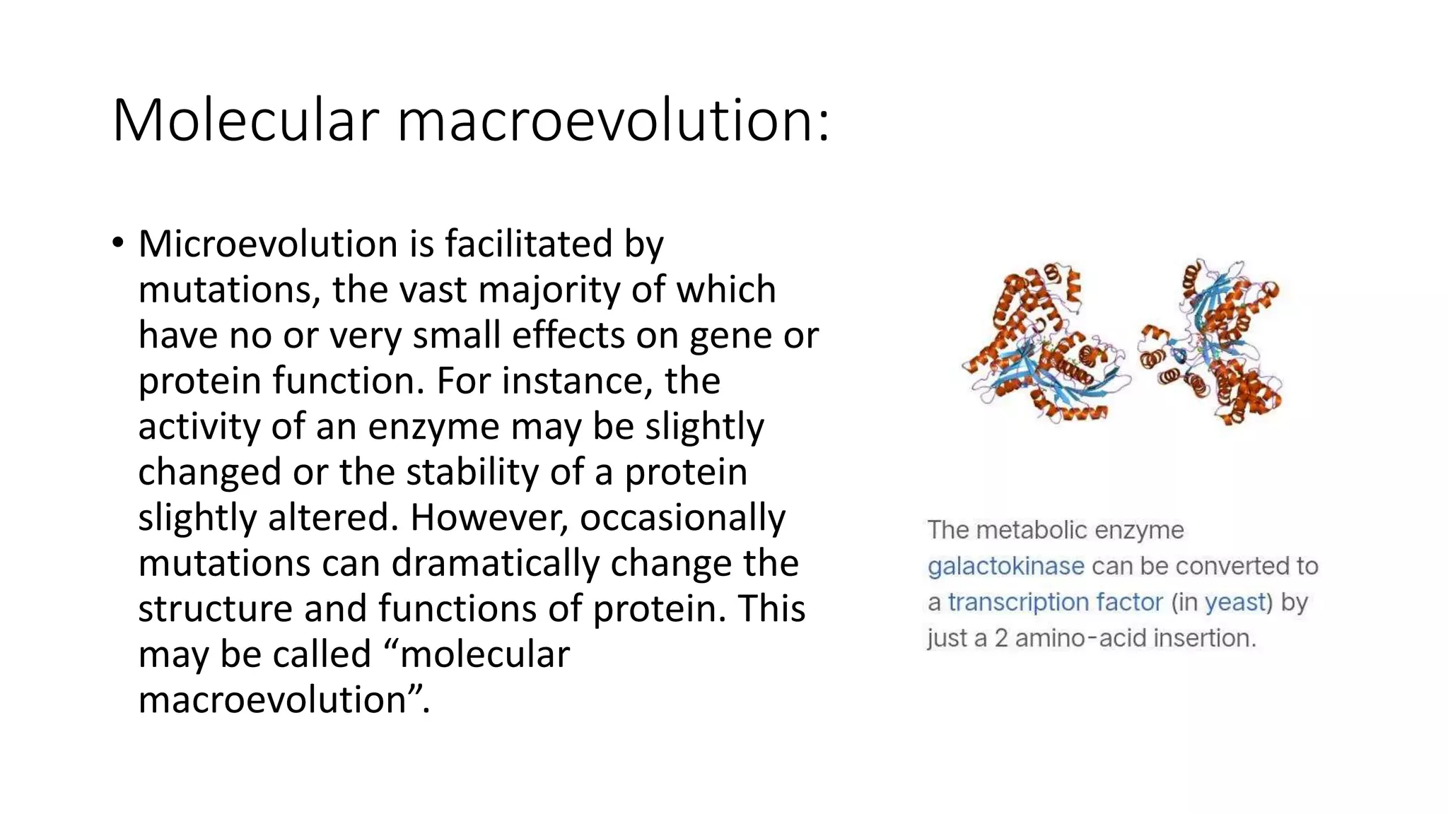 Evolution ( Macro and Micro Evolution).pptx | Biological Sciences | Science