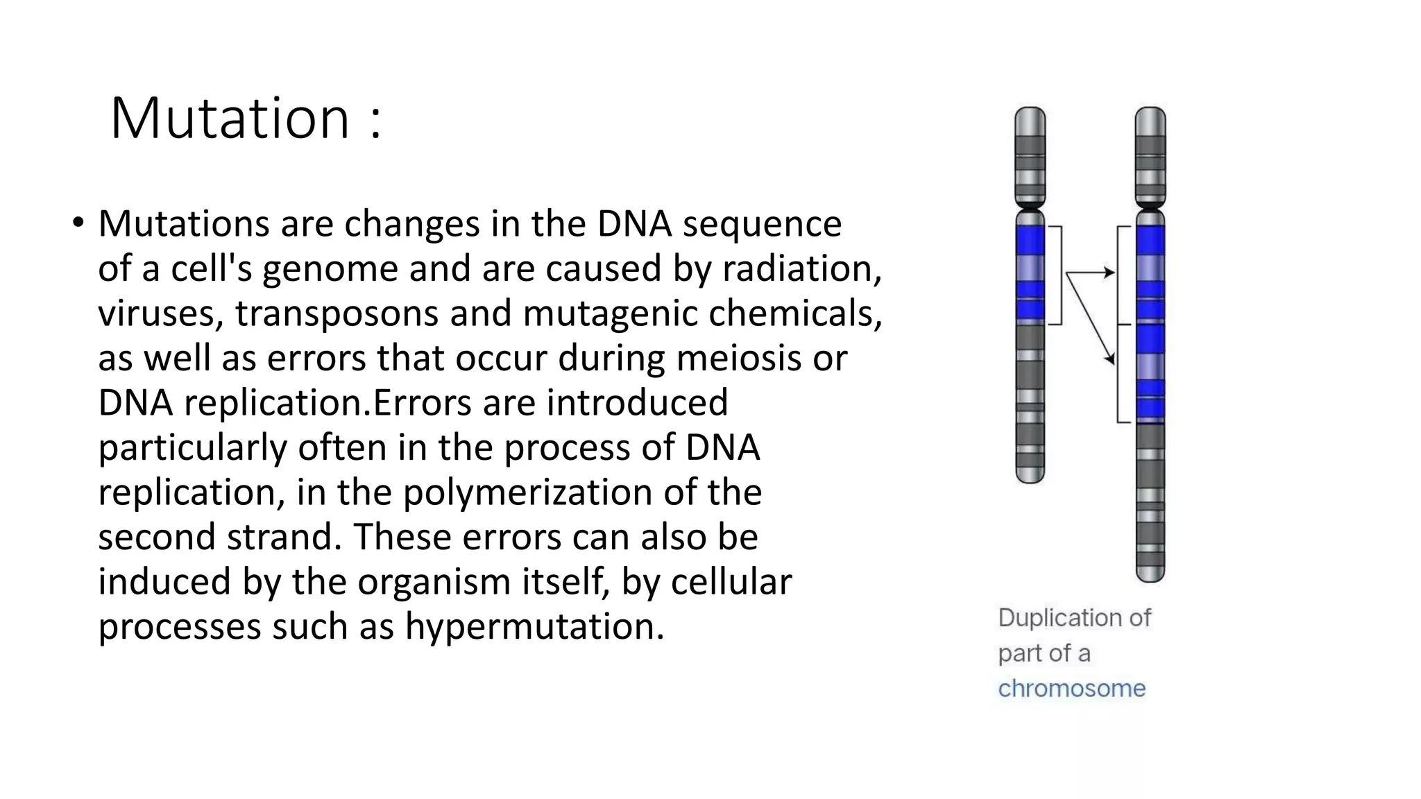Evolution ( Macro and Micro Evolution).pptx