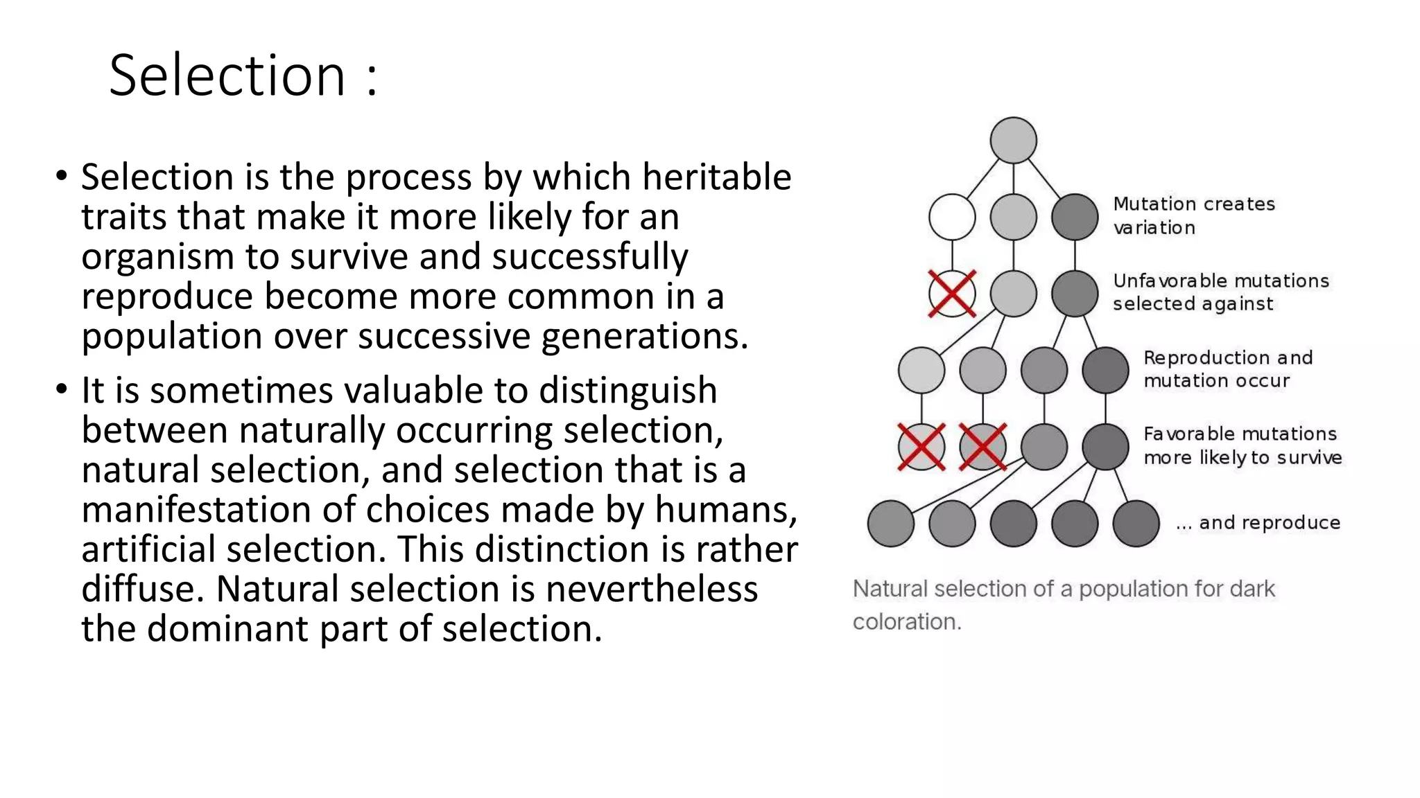 Evolution ( Macro and Micro Evolution).pptx