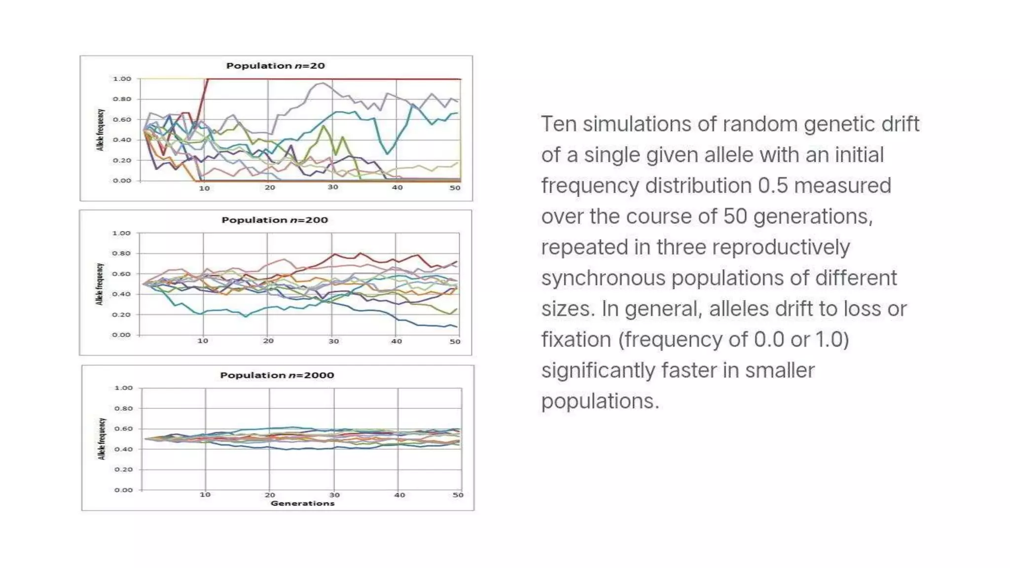 Evolution ( Macro and Micro Evolution).pptx