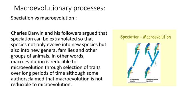 Evolution ( Macro and Micro Evolution).pptx | Biological Sciences | Science