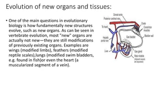 Evolution ( Macro and Micro Evolution).pptx