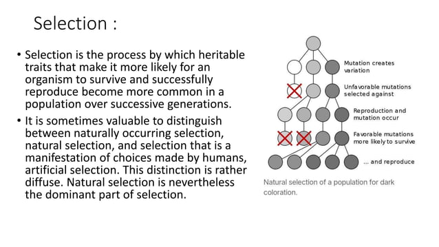 Evolution ( Macro and Micro Evolution).pptx | Biological Sciences | Science