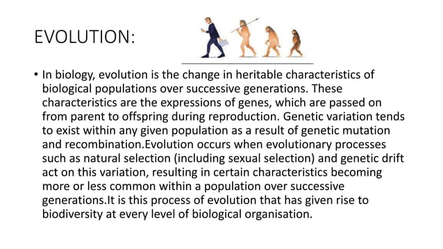 Evolution ( Macro and Micro Evolution).pptx | Biological Sciences | Science
