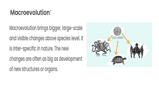 Evolution ( Macro and Micro Evolution).pptx | Biological Sciences | Science