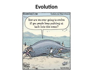 Mechanisms of Evolution including Hardy Weinberg Equilibrium | PPTX