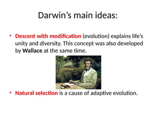 Mechanisms of Evolution including Hardy Weinberg Equilibrium | PPTX