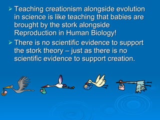 Evolution Misconceptions | PPT