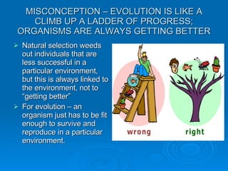 Evolution Misconceptions | PPT