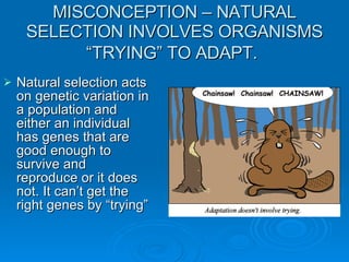 Evolution Misconceptions | PPT