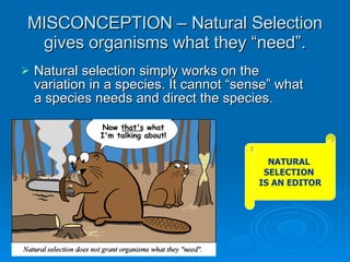 Evolution Misconceptions | PPT