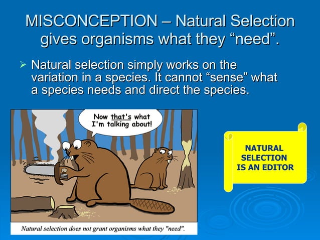 Evolution Misconceptions | PPT