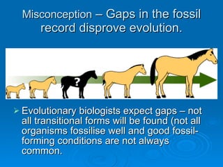 Evolution Misconceptions | PPT